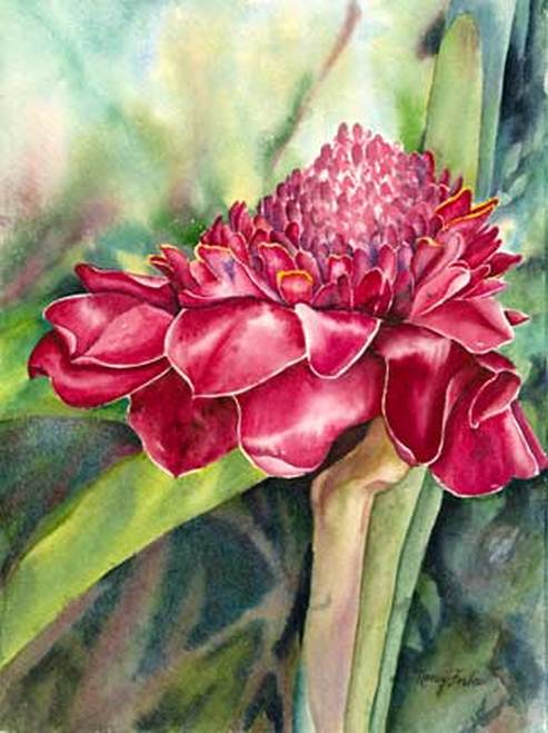 Torch Ginger (Giclée) – Banana Patch Studio