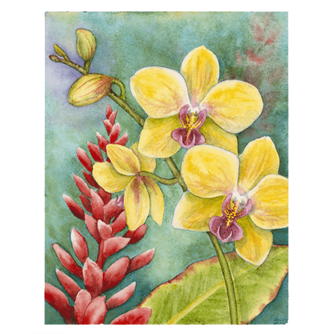 Giclees – Banana Patch Studio