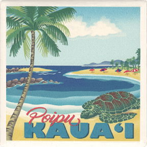 Shop All Gifts – Banana Patch Studio