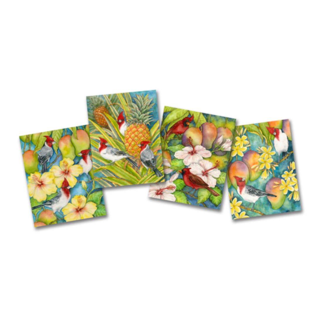 Set of 4 Cards - Tropical Bird Note Cards – Banana Patch Studio